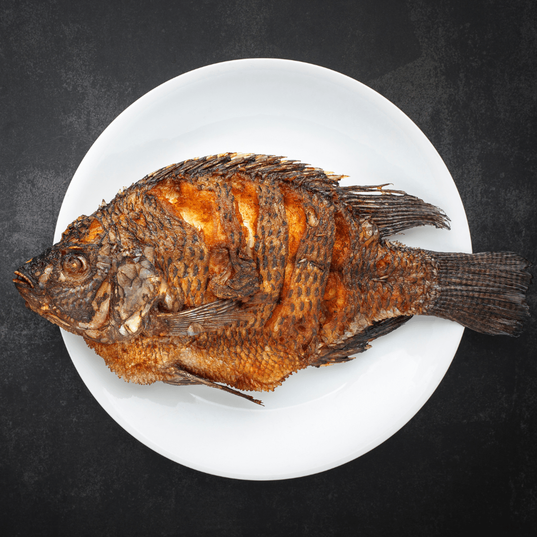 Tilapia | Pacific Bay